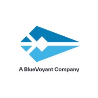 BlueVoyant LLC Company Profile: Financials, Valuation, and Growth | PrivCo